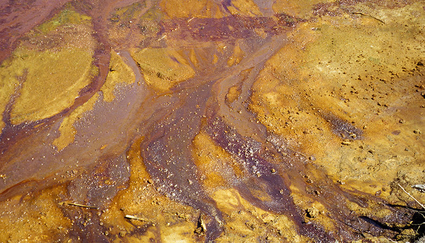 Hur giftigt är avloppsvattnet? Biologiska tester ger svar | Havet.nu